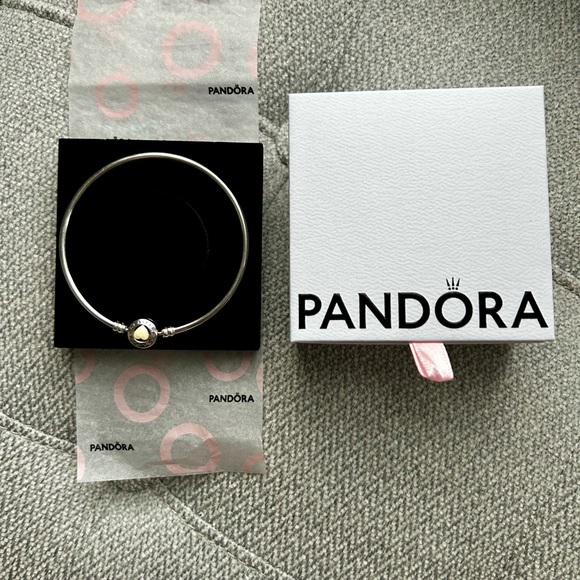 Pandora | Jewelry | Pandora Authentic Moments Bangle | Poshmark
